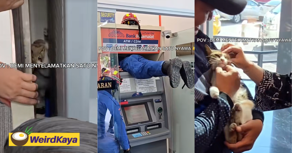 Abang APM ‘Inserts’ Half Of His Body Into ATM To Rescue Cat That Was ...