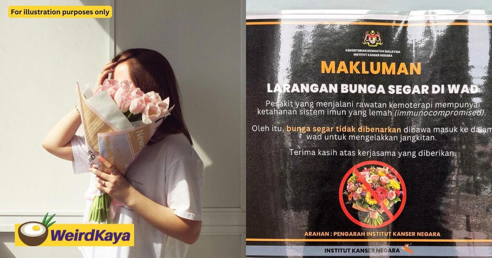 Here’s Why We’re Not Allowed To Bring Real Fresh Flowers Into Certain ...