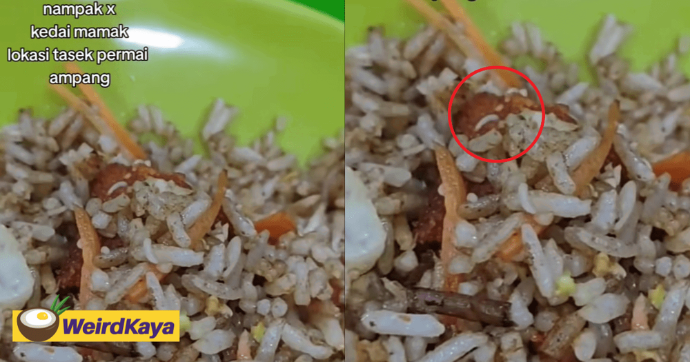 M’sian Woman Disgusted To Find Maggots Inside Fried Rice At Famous ...