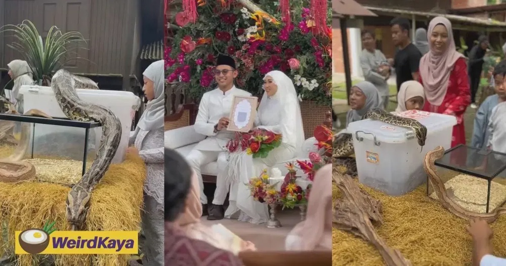 M’sian Couple Makes Their Wedding Day Extra Wild With Snakes & Other ...