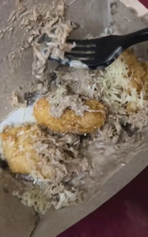 M’sian Woman Disgusted To Find Lizard Inside Her Pisang Goreng Tiramisu ...