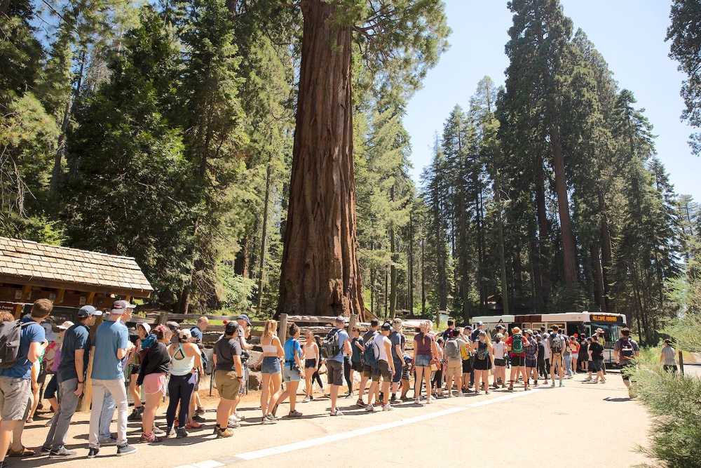 This State Is Home to 4 of the 5 Most Polluted National Parks