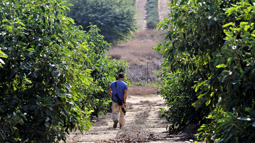 Sri Lanka's dispatch of workers to Israel farms sows controversy