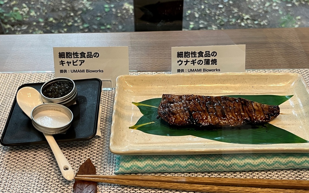Singapore lab-grown seafood startup to launch Japan plant in 2027