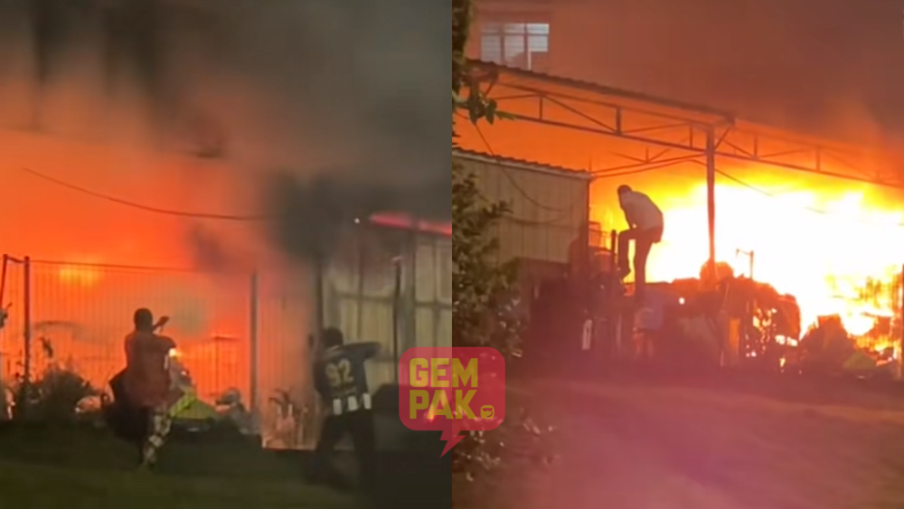 Lelaki Nekad Selamatkan Kucing Dari Kebakaran, Netizen Tabik Sebab ...