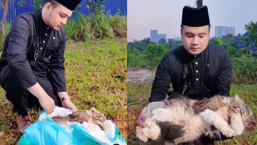 Kos Penjagaan Lebih RM50,000, Iqbal Zulkefli Reda Kucing Kesayangan ...