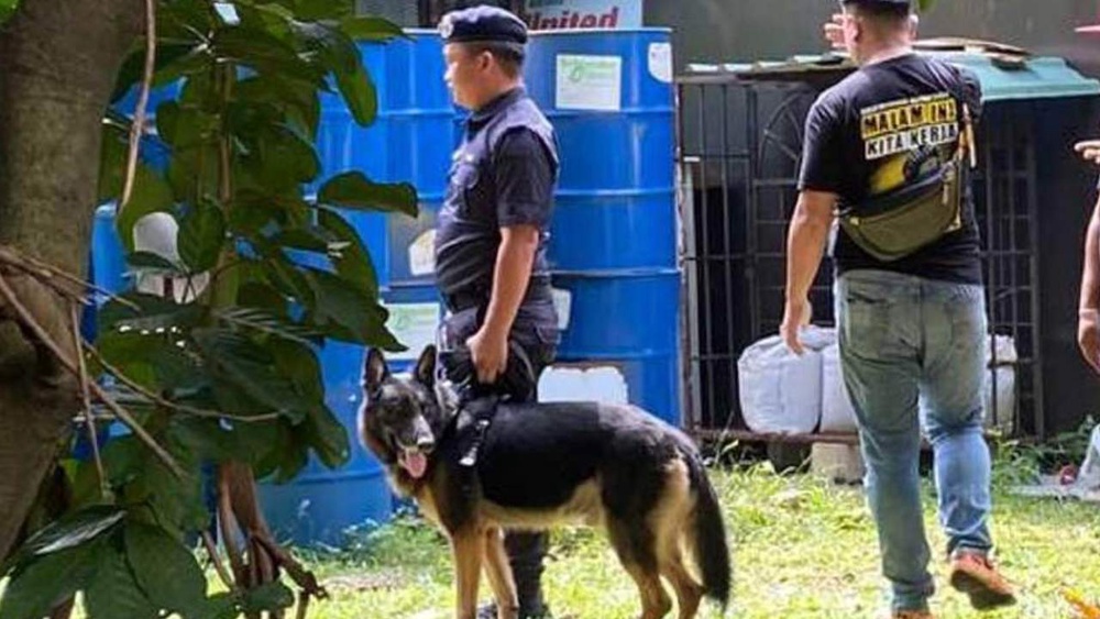 Kes Bunuh Zayn Rayyan, Anjing Pengesan K9 Turun Padang, Netizen Ucap - “Good Luck Falco, Semoga ...