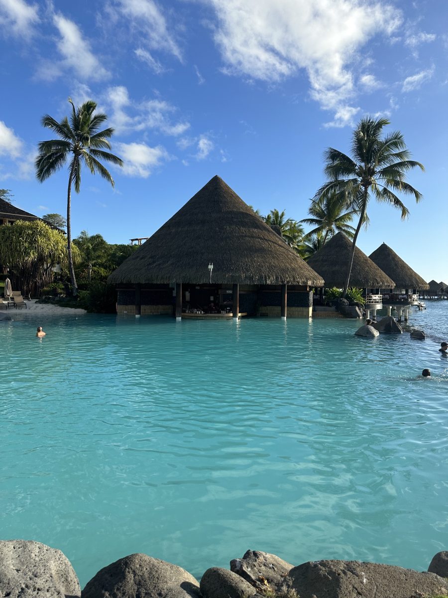 Shark Attack Injures Child