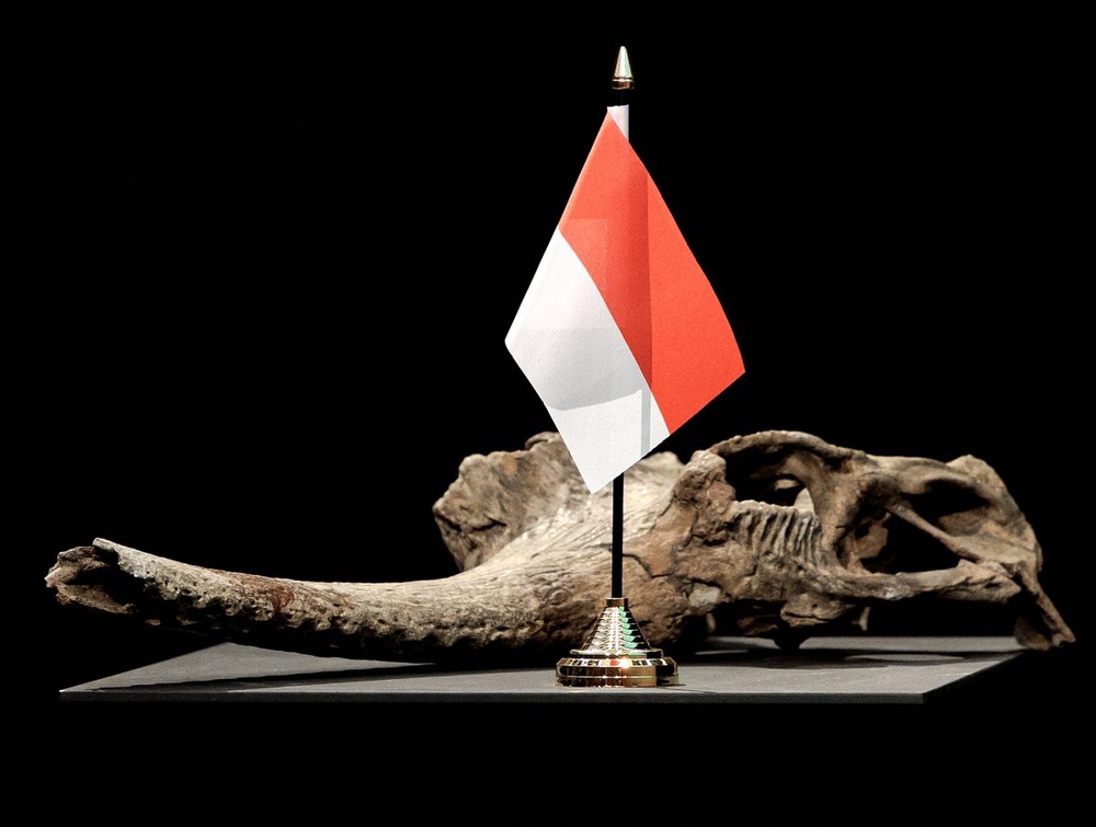 Dutch Returning Java Man