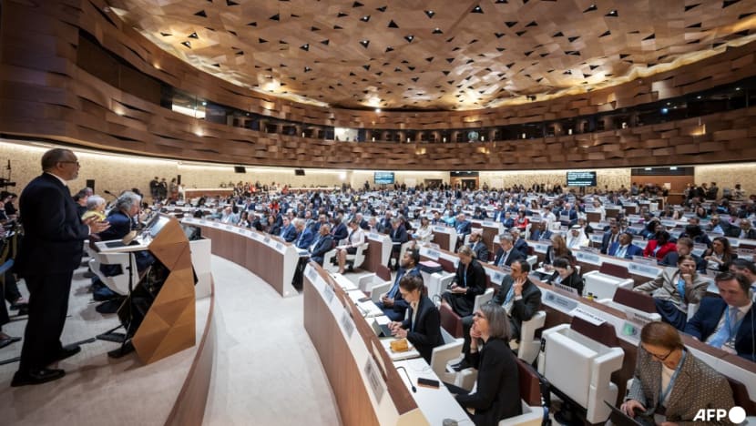 WHO adopts landmark pandemic agreement