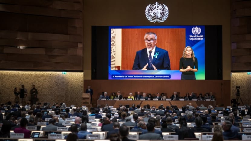 WHO chief urges countries to adopt pandemic agreement