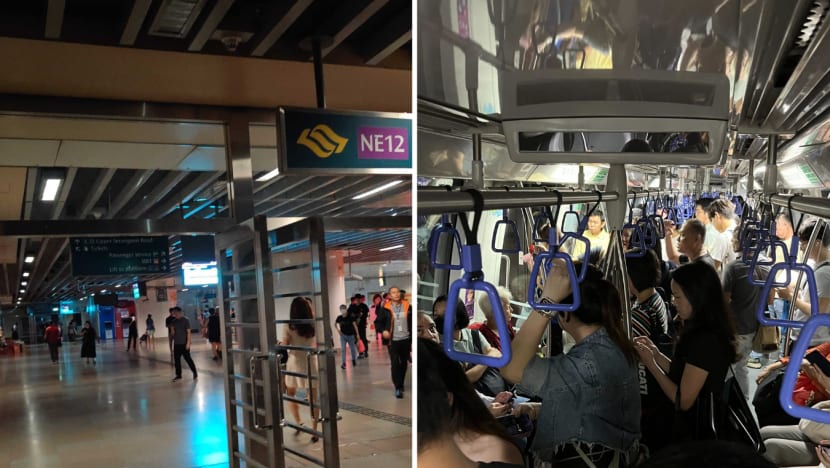 Power fault causes three-hour disruption on North East Line