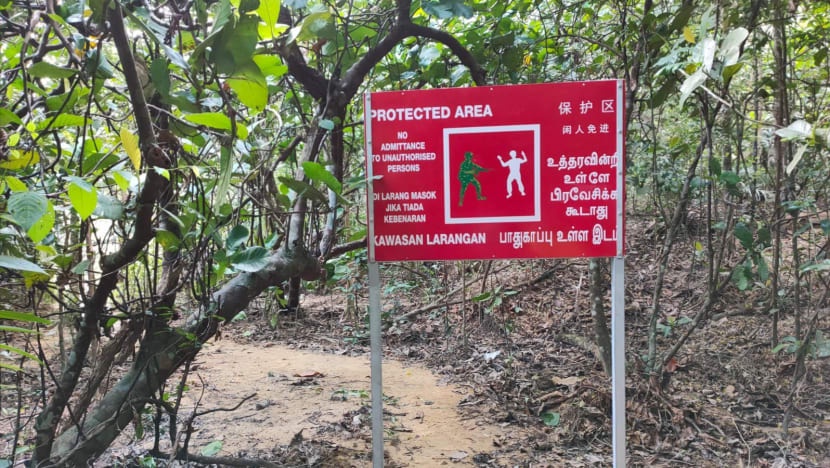 Safety protocols adhered to in incident involving cyclist hit by bullet ...