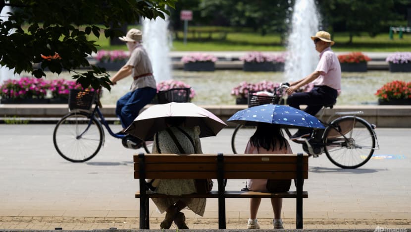 Japanese population sees record drop in 2024