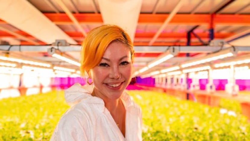 This Singapore mum built a hidden urban farm in Jurong – here’s why she ...