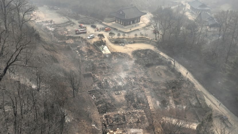 South Korea's wildfires kill 24, wreak 'unprecedented damage'