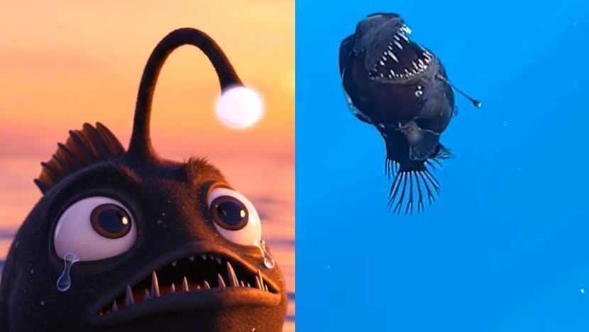 Why an anglerfish's viral moment has us all swimming in our feelings