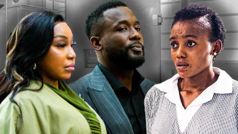 ‘Baby Farm’ Ending Explained & Series Recap: Did Barbara Kill Dr. Evans?