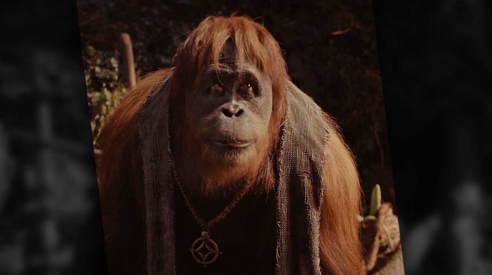 Did Raka Die At The End In ‘Kingdom Of The Planet Of The Apes’? What ...