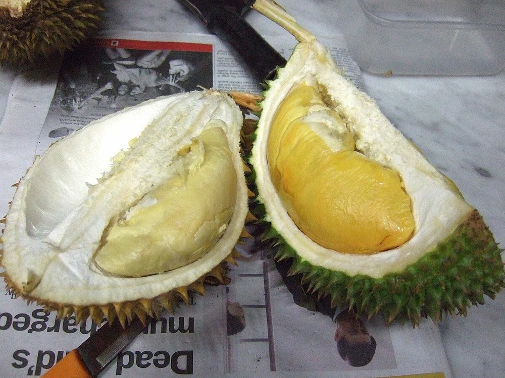 Pekebun durian Raub tarik balik rayuan kes notis pengusiran