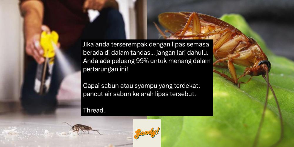 “I’d Rather Faint!” Netizens Hilariously React To Tweet On How To Kill ...