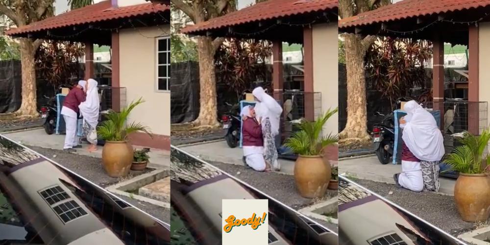 WATCH: TikTok User's Heartbreaking Video Goes Viral As Her Beloved Cats ...