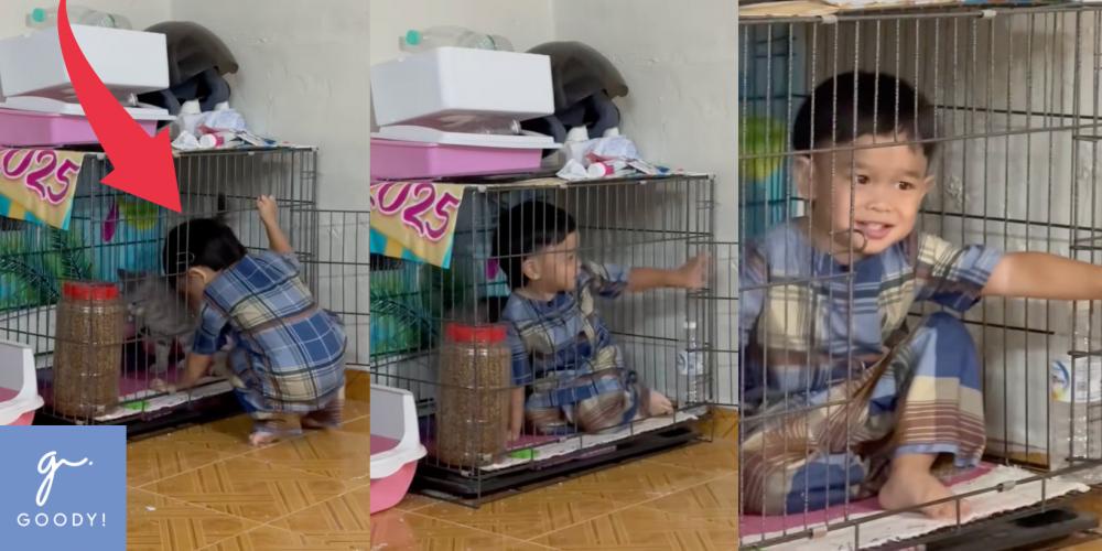 WATCH: This Little Boy Locked Himself In A Cage With His Cat & The ...
