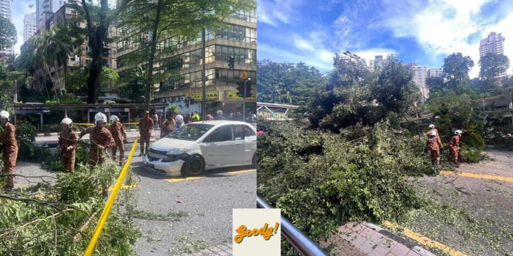 Two Women Injured After Tree Crashes Onto Car At Wisma Magnum, Jalan Pudu