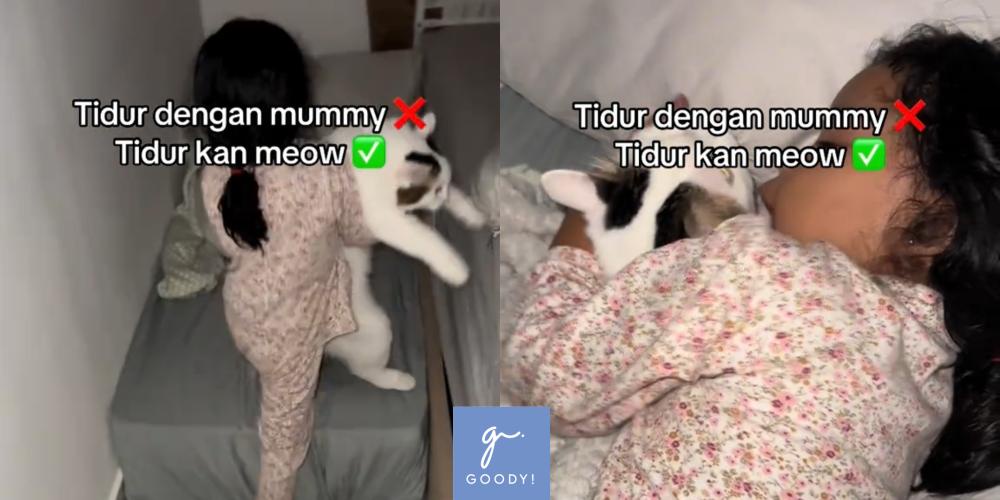 WATCH: Netizens Swoon As Little Girl Carries Her Favourite Cat To Bed ...
