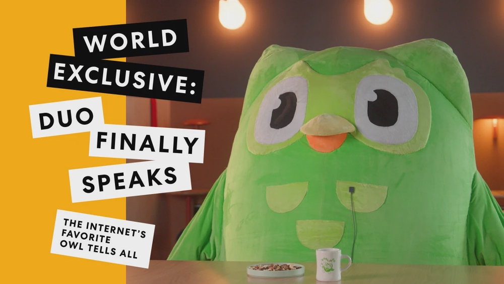 World exclusive: Duo finally speaks! The internet’s favorite owl tells all