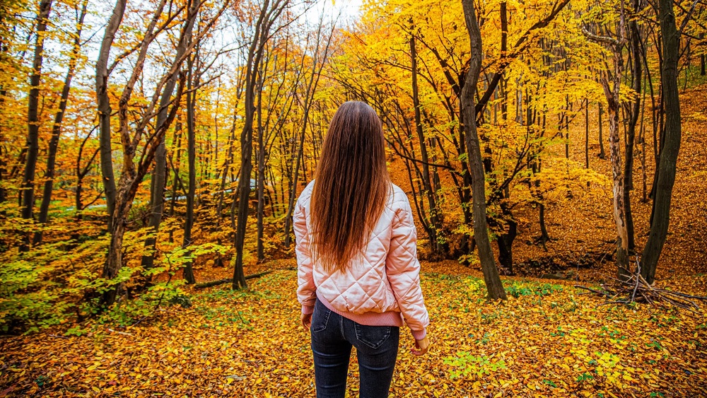 Labor Day marks the start of fall—here’s when the leaves will change ...
