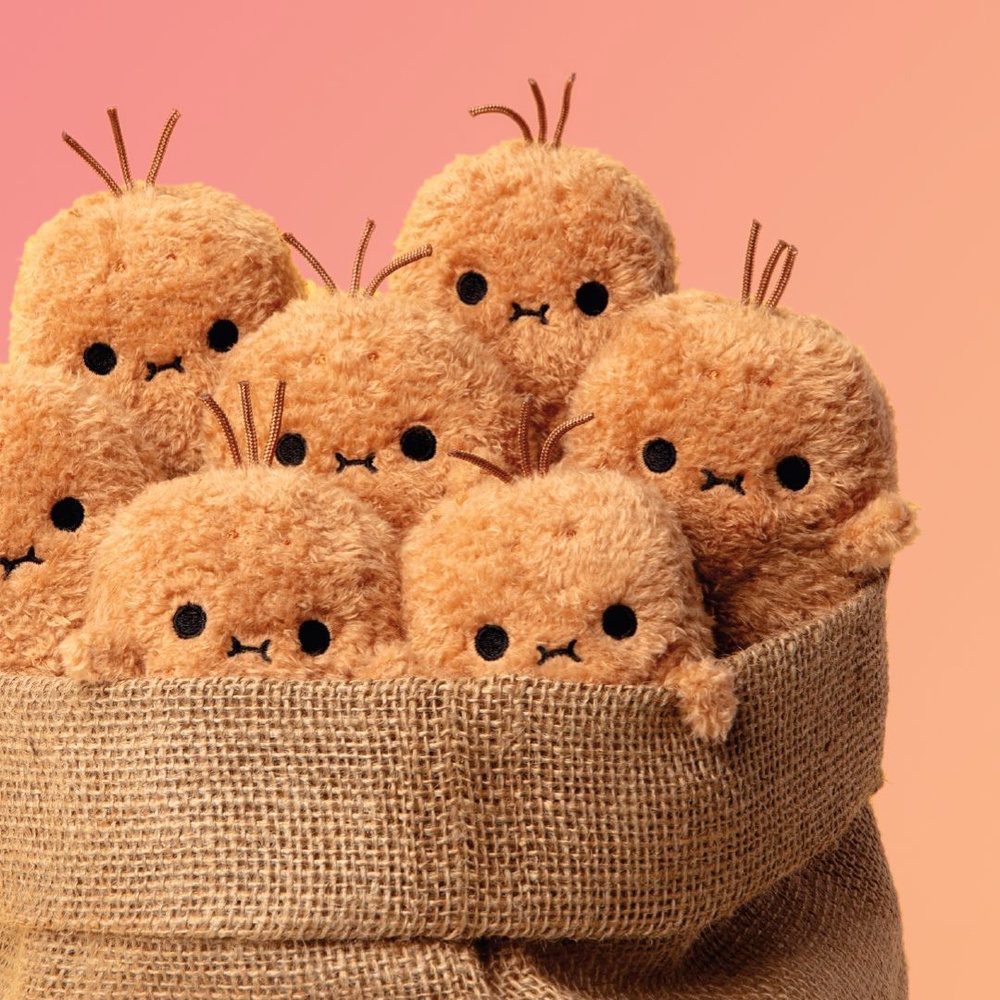 What is Noodoll, the plush toy set to become the next Jellycat