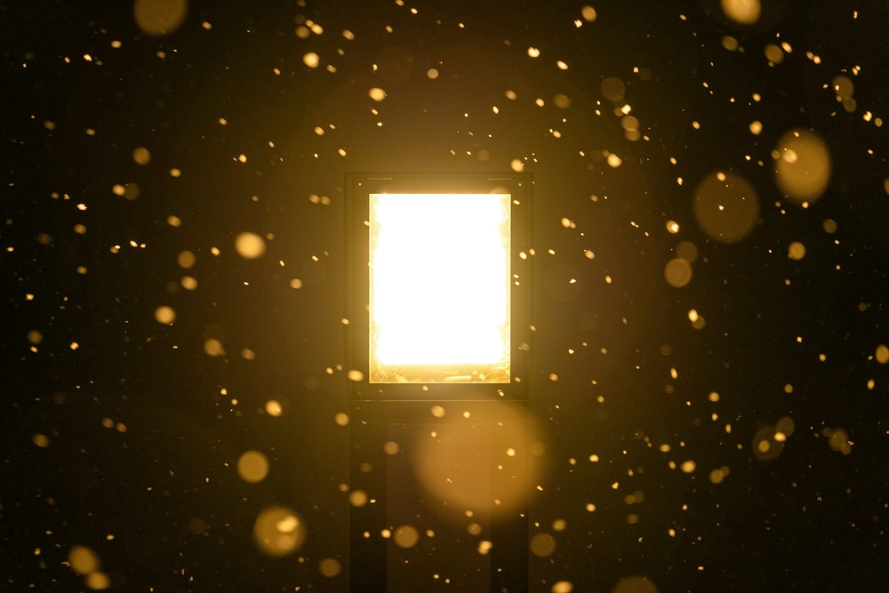 Physicists At The Large Hadron Collider Turned Lead Into Gold By Accident