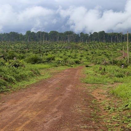 Together, Xi and Macron can save the Congo Basin from deforestation