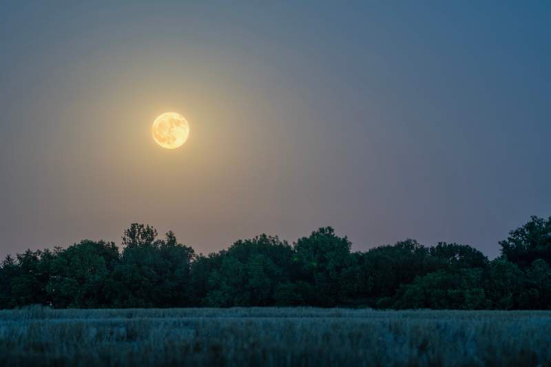Celestial events in June 2026: from a Venus-Jupiter Conjunction to ...