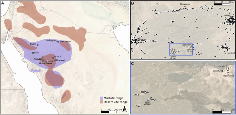 Scientists Discover a Massive Cave That Preserved Traces of Human Life ...