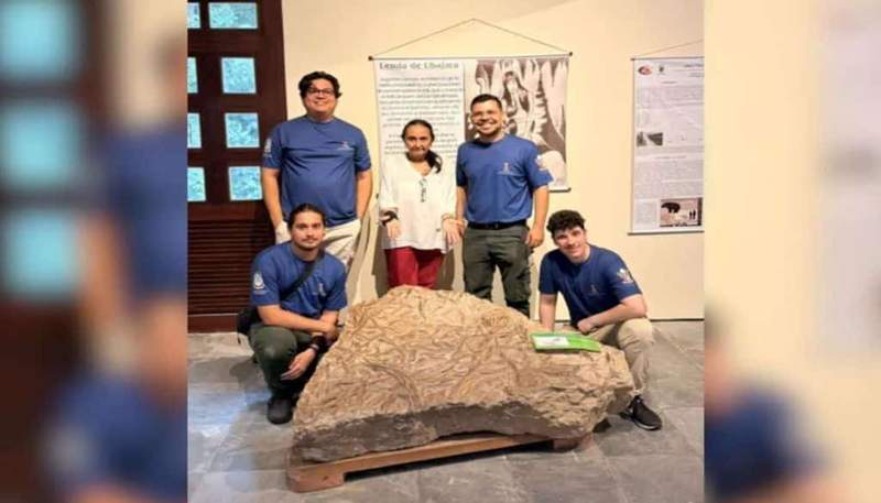 Scientists Discover a 700-Kilogram Fossil Rock in Brazil That Confirms ...