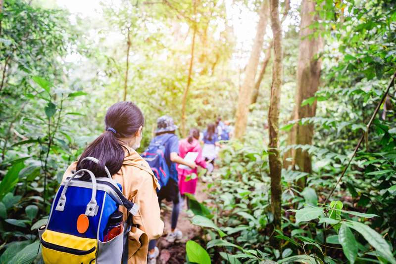School trips aren’t always accessible for autistic children – but they ...