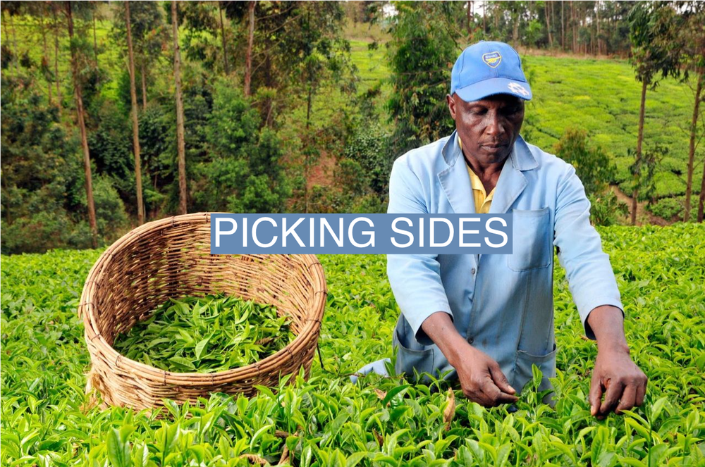 “Blood Tea”: A community’s fight to take back the Lipton tea estates in ...