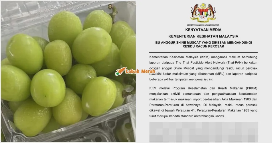 Ramai Risau Anggur ‘Shine Muscat’ Didakwa Ada Kimia Berbahaya, Ini ...