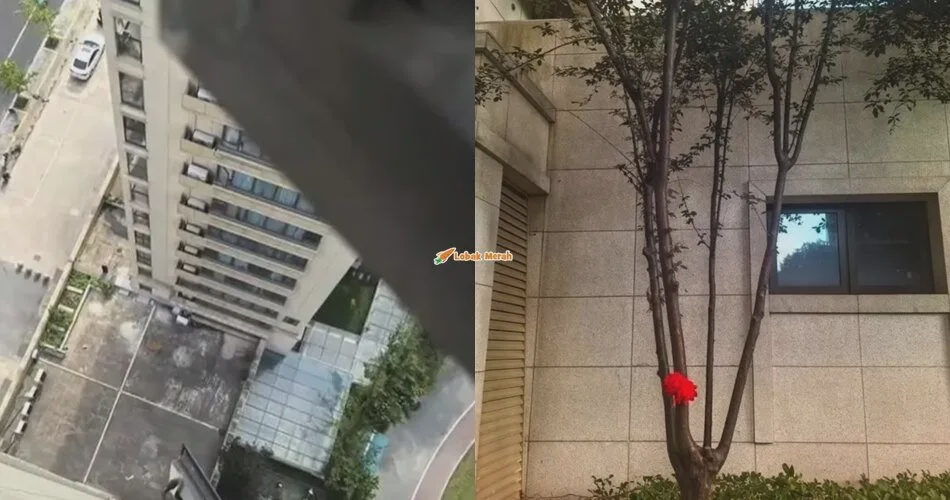 “Disambut sebatang pokok”- Terjatuh Dari Tingkat 18, Kanak-kanak 3 ...