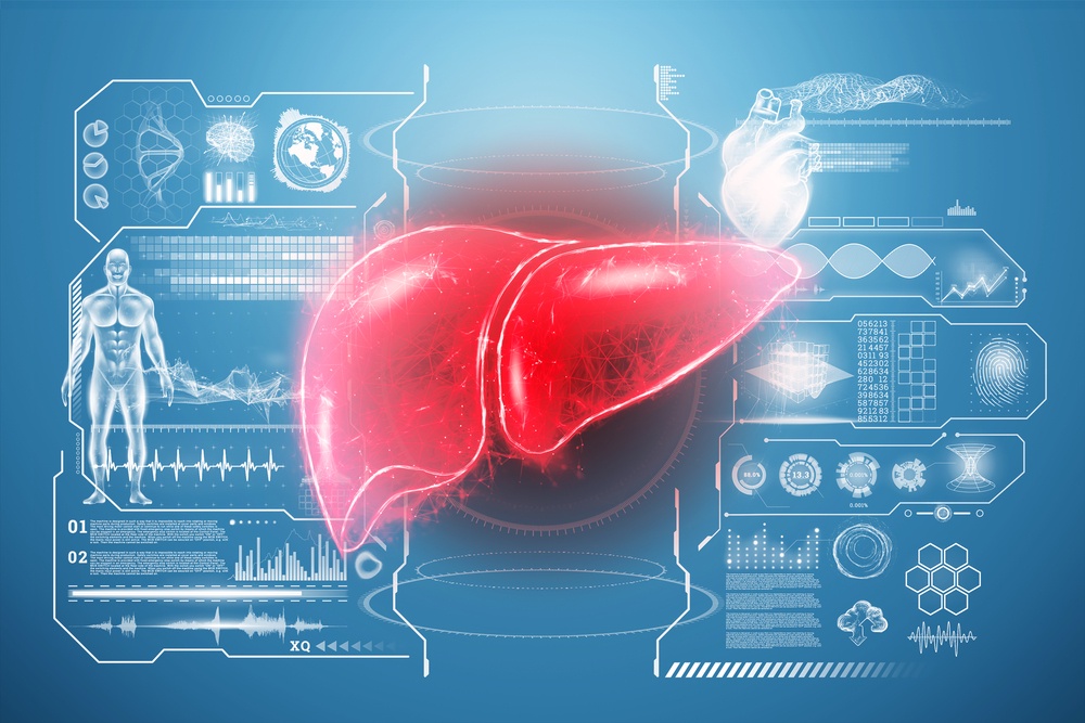 Meet Your Liver, the Silent Superhero Inside Your Body