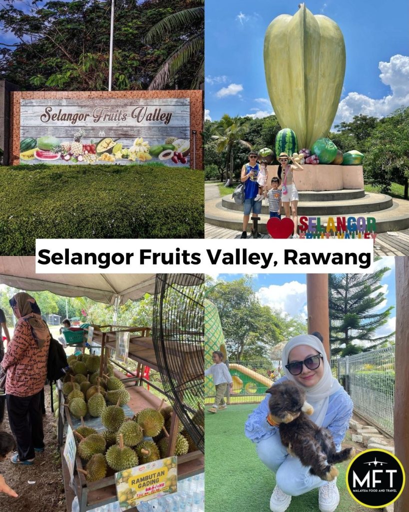 Have Fun At These 9 Underrated Attractions to Visit in Selangor!