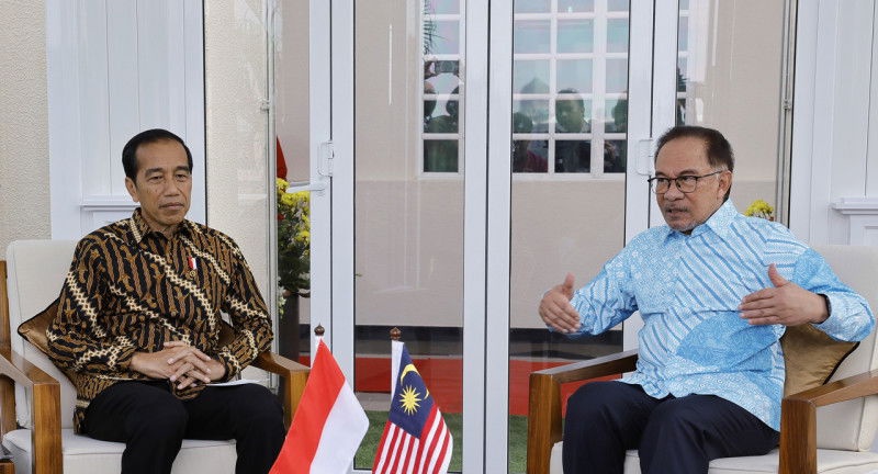 Malaysia-Indonesia Capai Kata Sepakat Pertahan Kepentingan Kelapa Sawit ...
