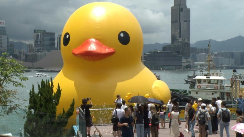 A decade on, giant duck brings a friend home to roost in Hong Kong