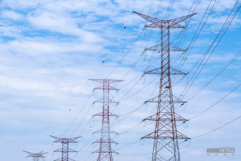 TNB develops THySIS to protect endangered tree species