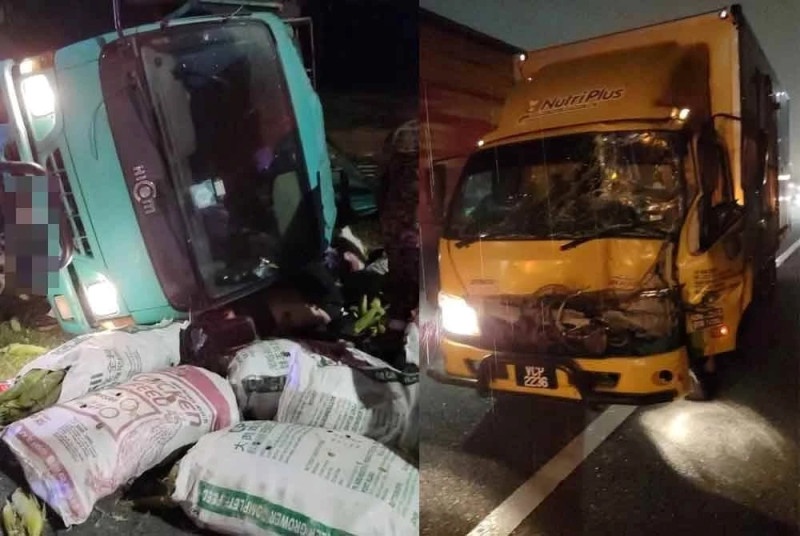 One dead, two injured in ELITE Highway lorry collision