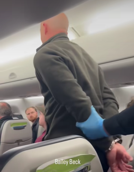 US pilot who tried to shut off plane engines may have been high