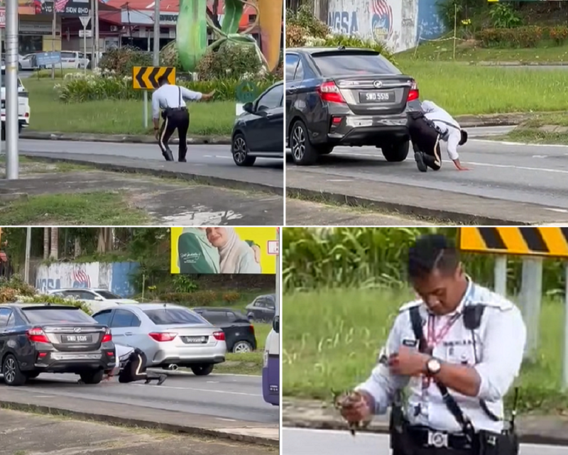 Sandakan traffic cop wins praises for saving kitten