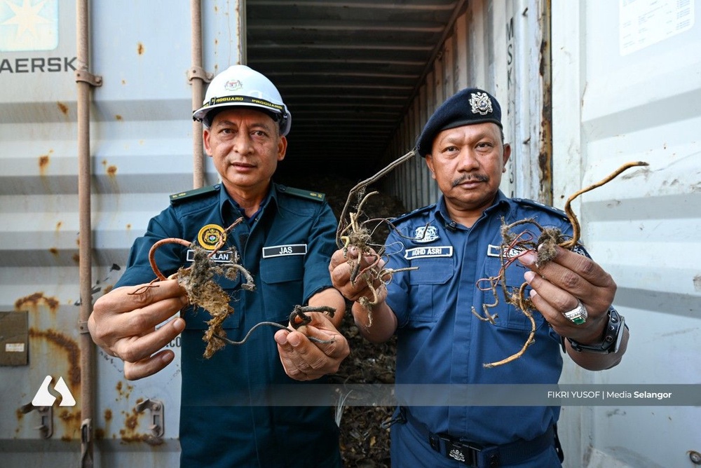 Customs foils attempt to smuggle RM2.15m in e-waste at Northport